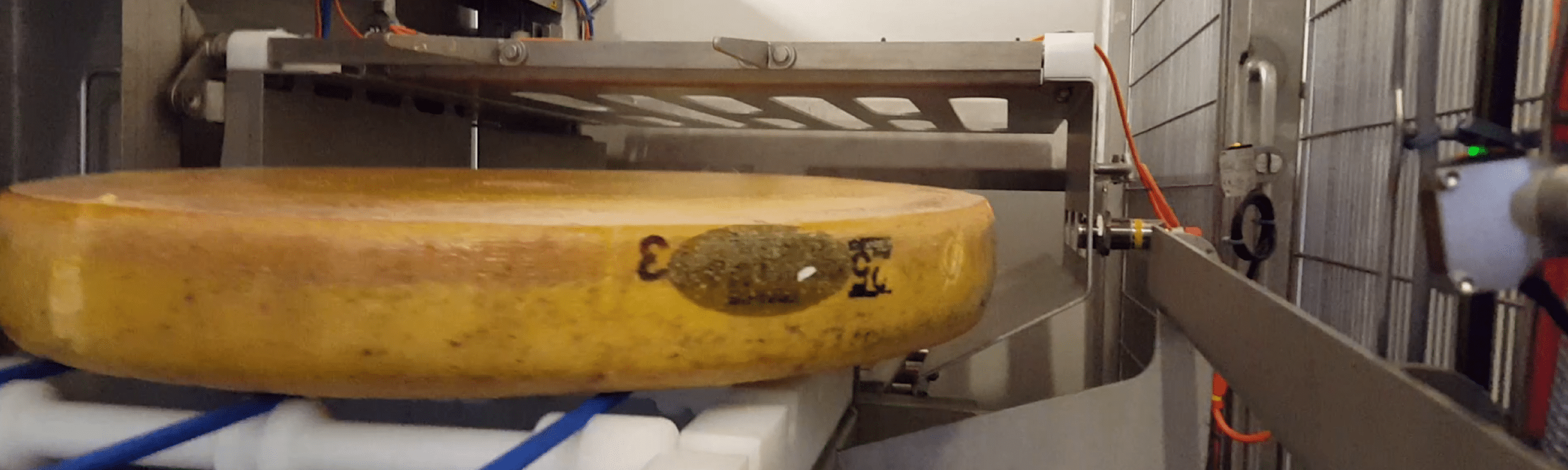 Meules de fromage - Acemia