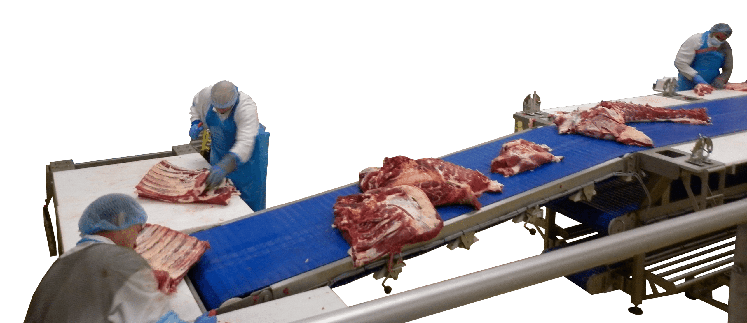 Cutting Workshop - Beef | Acemia