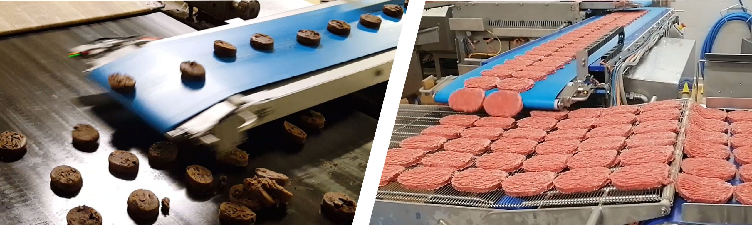 Shuttle Conveyor | Acemia