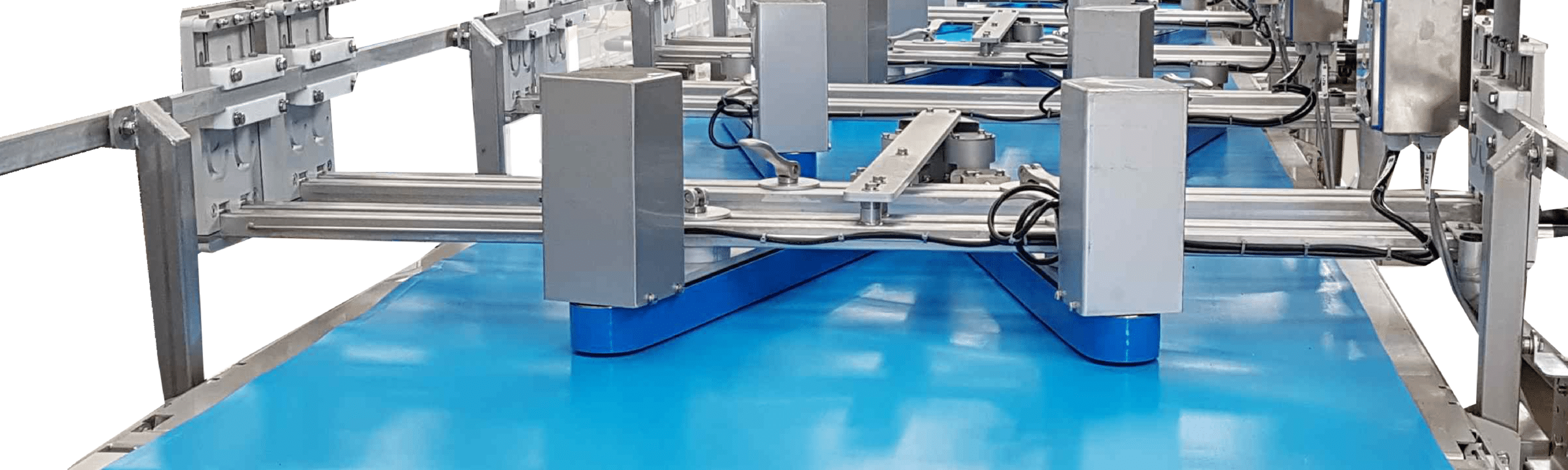 Realigning Conveyor | Acemia