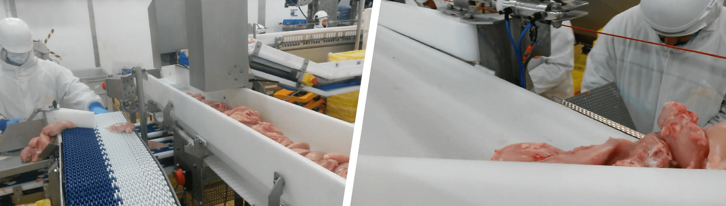 Trimming Line | Acemia