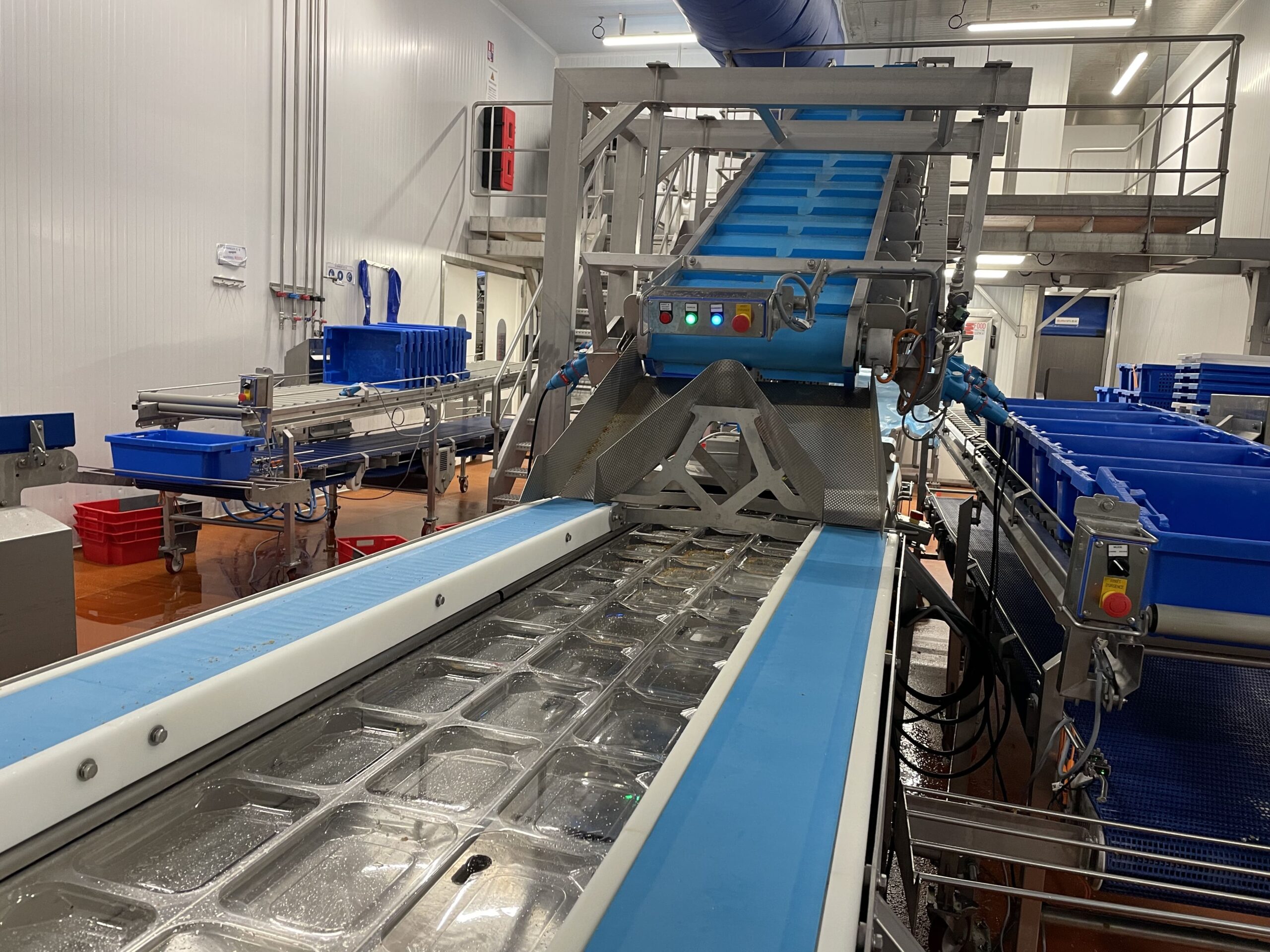 Thermoformer Loading | Acemia