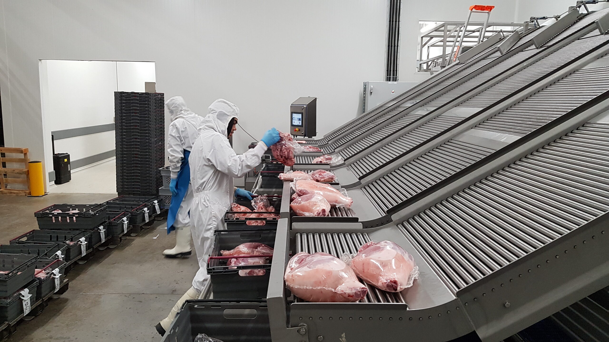 Cutting Workshop | Acemia