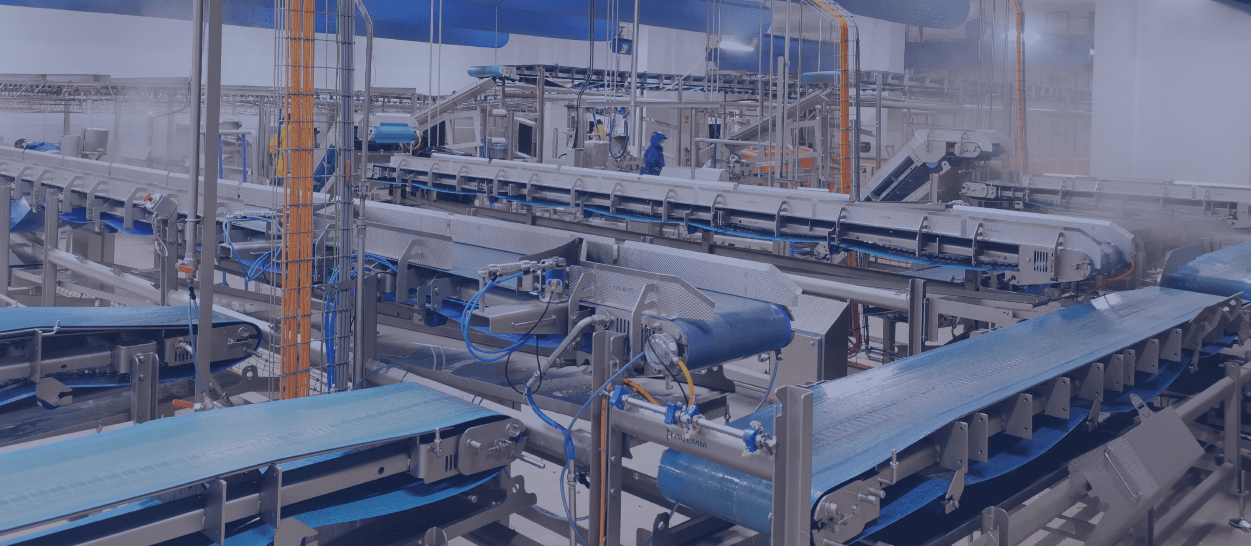 Qui sommes-nous ? | Acemia